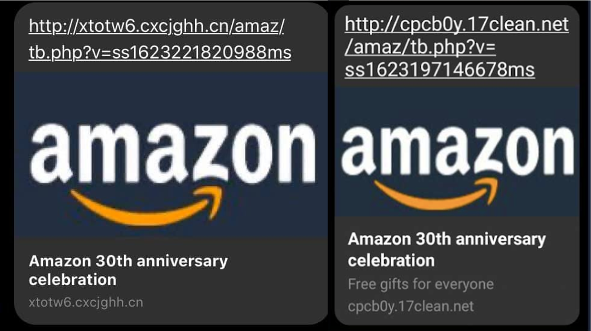 Spot the Scam: Amazon Prime Day, Costco Raffle, Free Adidas Shoes, and ...