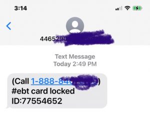 Spot the Scam: Thanksgiving, BestBuy, EBT Card, Black Friday, Ray-Ban ...