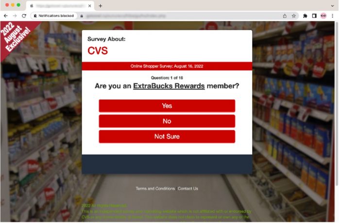 Dangerous CVS and Walgreens Text Survey Scams | Trend Micro News